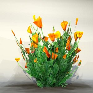 pc flower 3d max