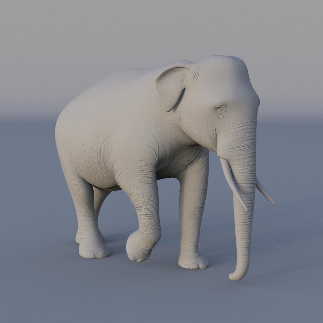 Elephant 3d Max
