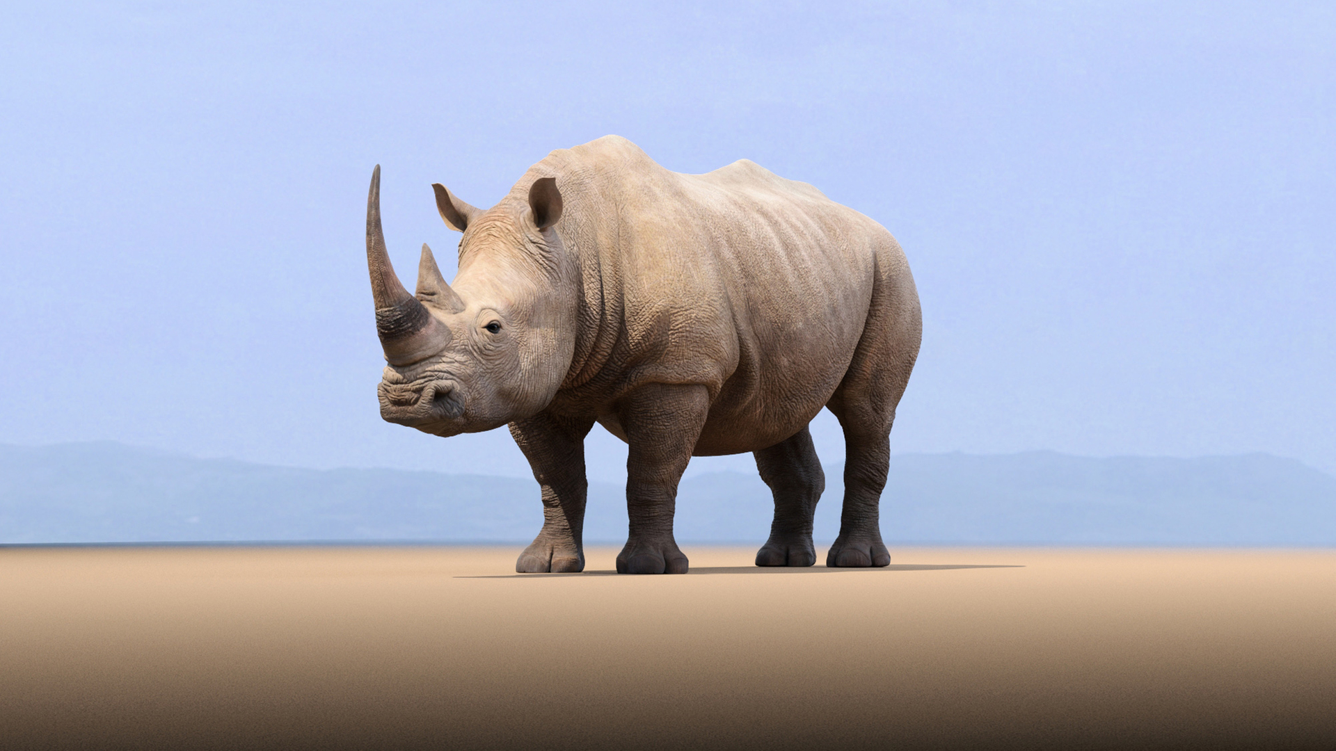 Rhino Model - TurboSquid 1733328