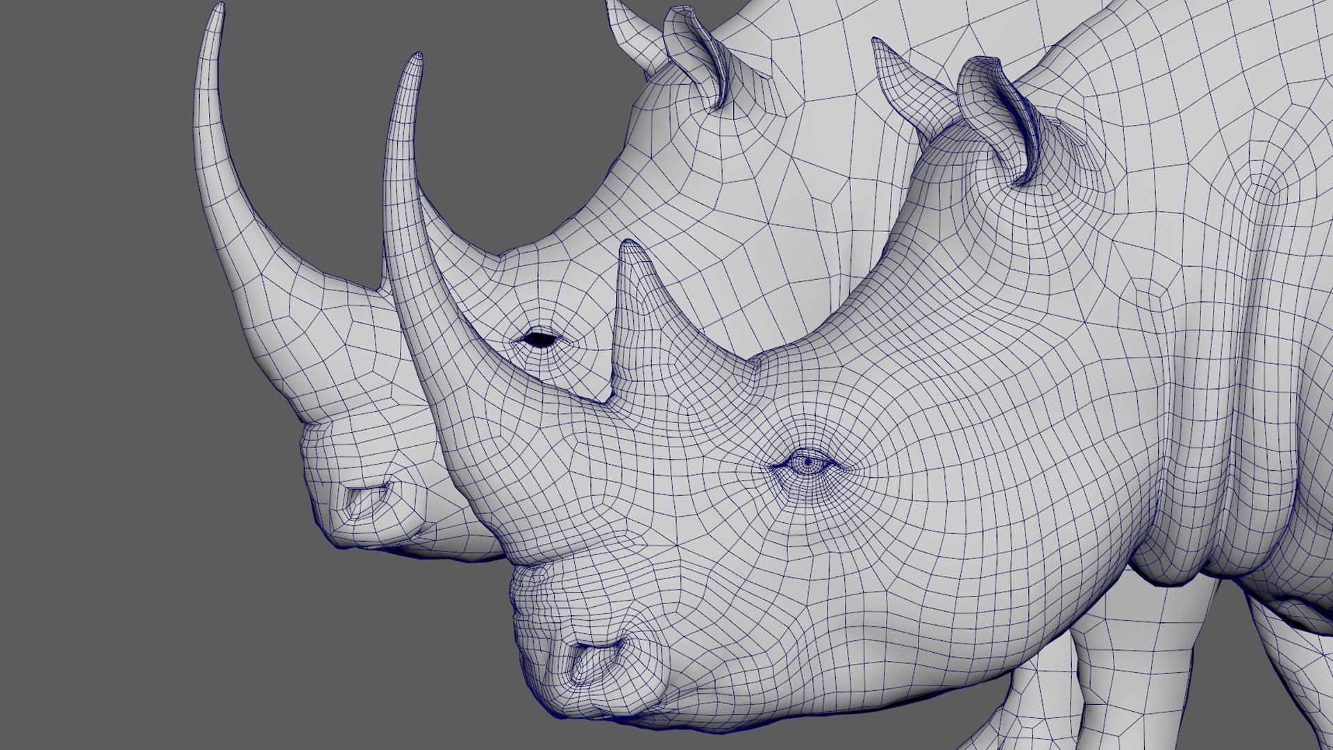 Rhino Model - TurboSquid 1733328