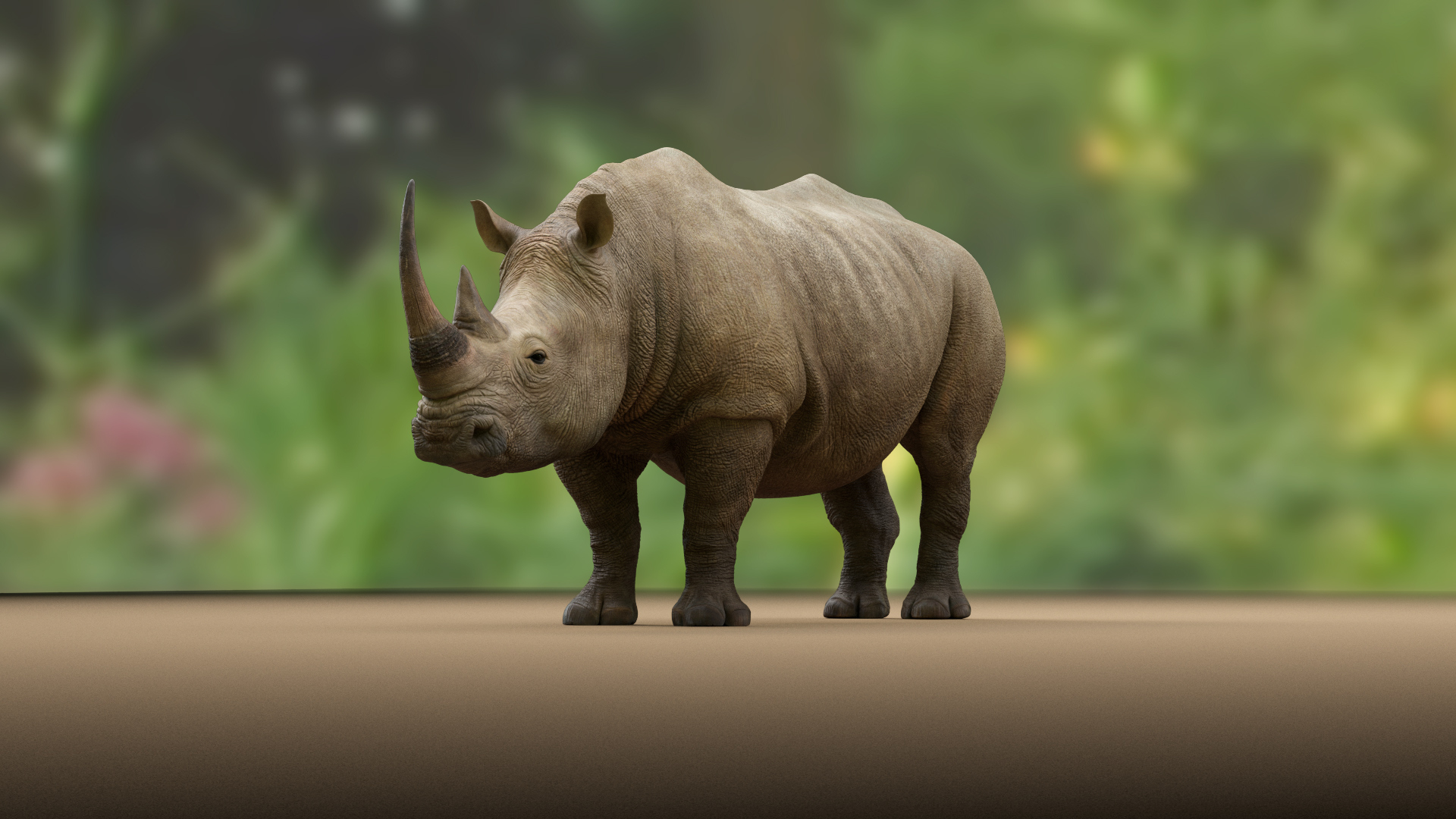 Rhino Model - TurboSquid 1733328
