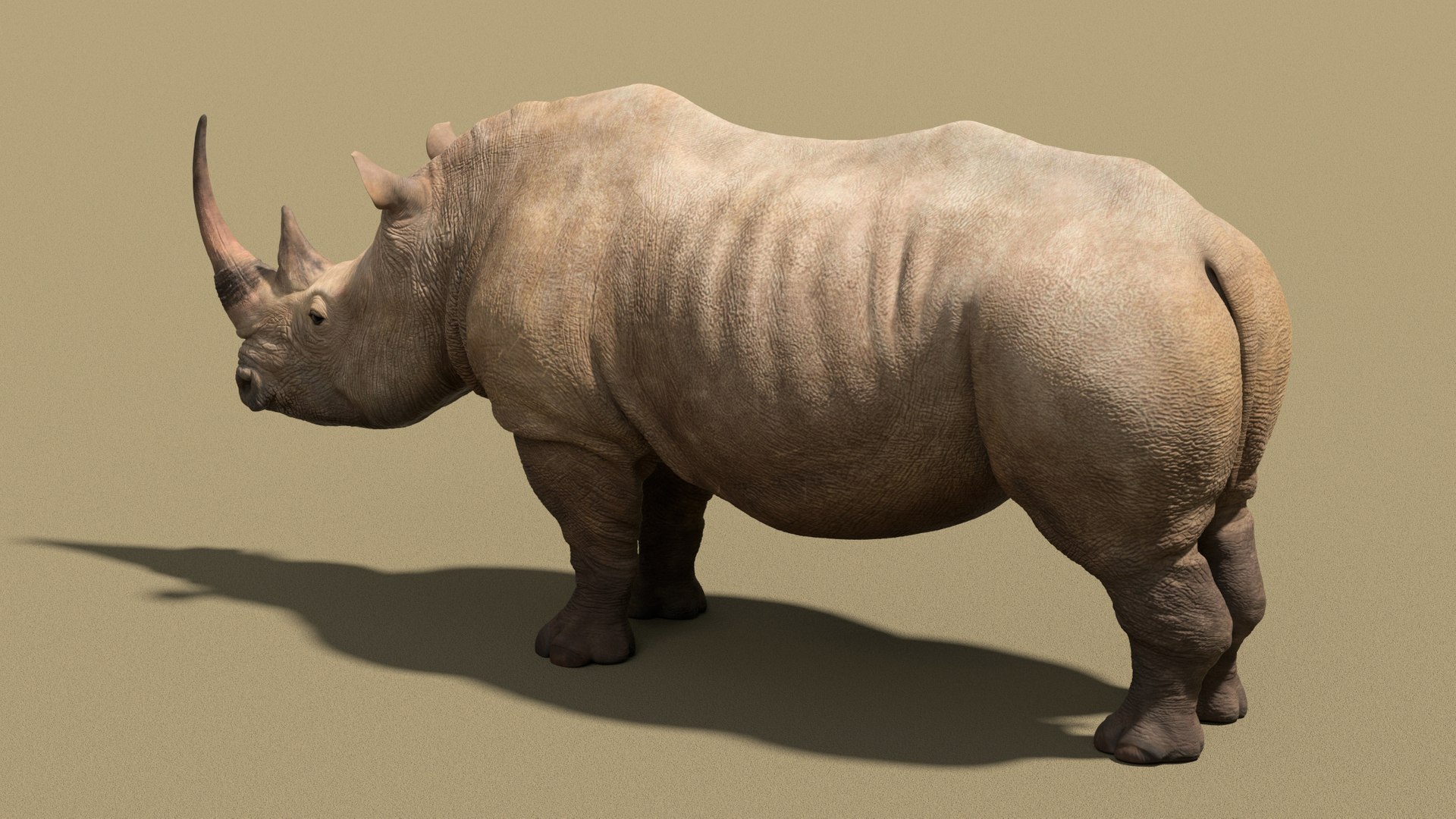 Rhino Model - TurboSquid 1733328