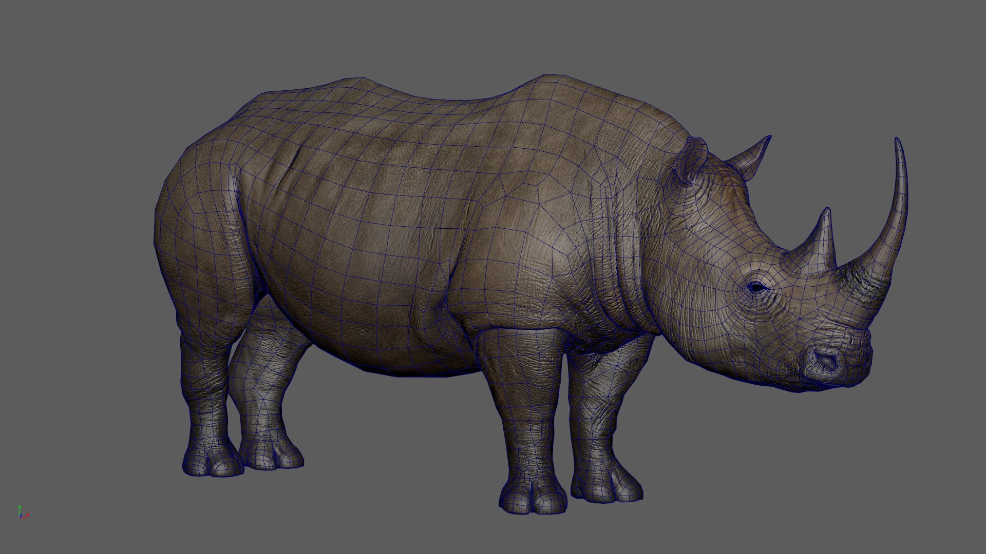 Rhino Model - TurboSquid 1733328