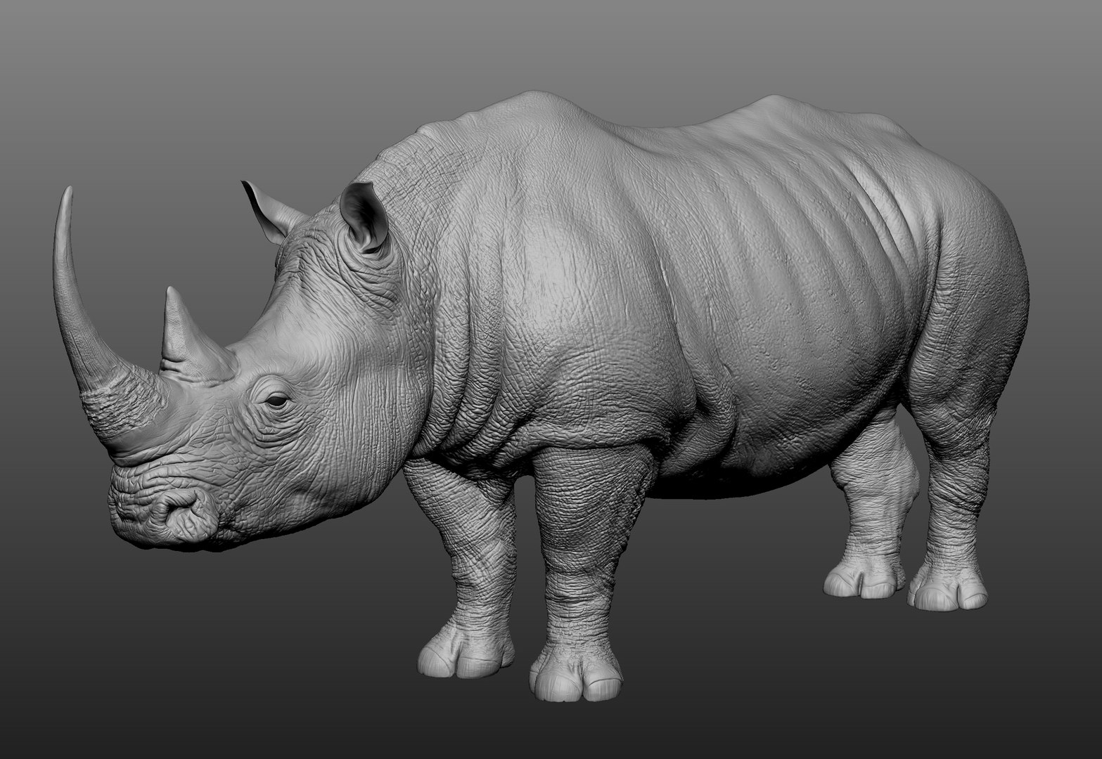 Rhino Model - TurboSquid 1733328