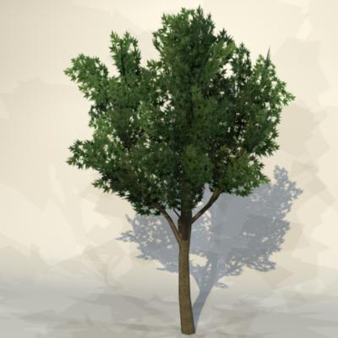 3d model pc tree