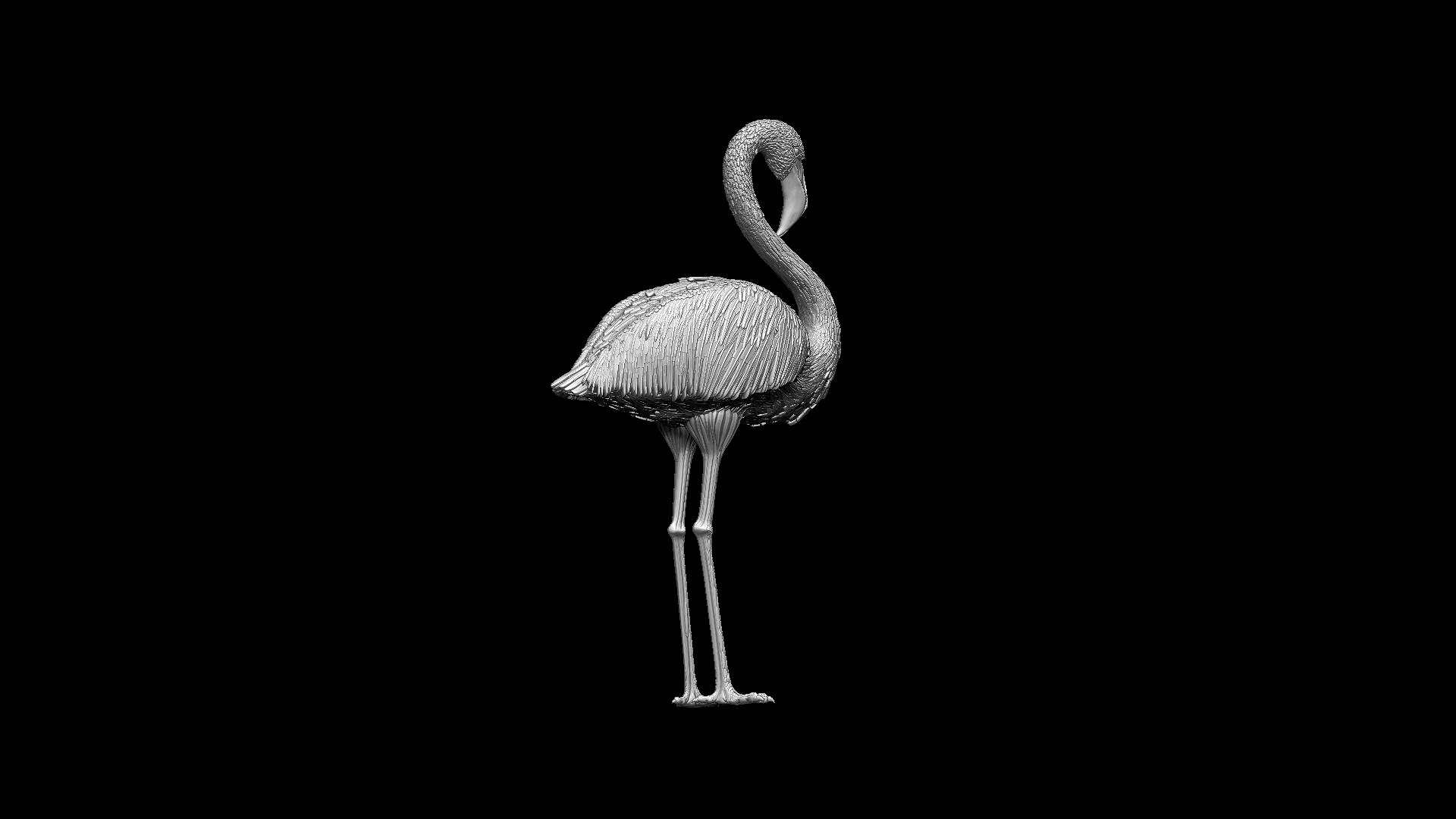 3D Model Flamingo - TurboSquid 2408112