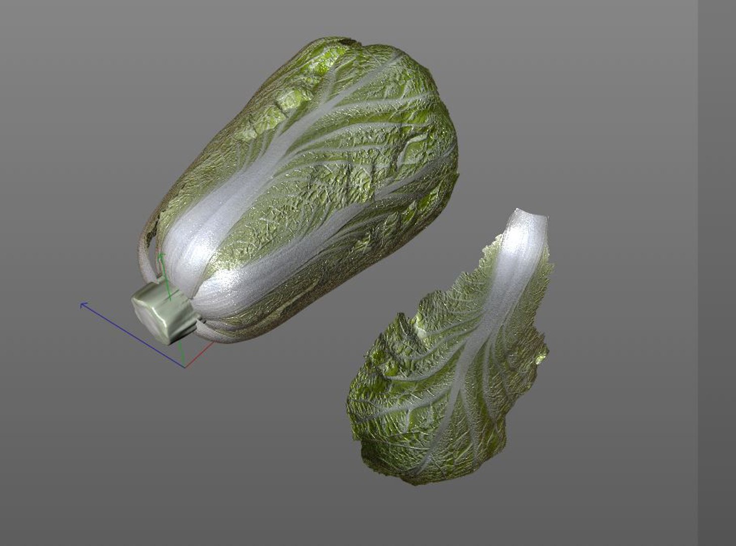 Cabbage Model - TurboSquid 1544537