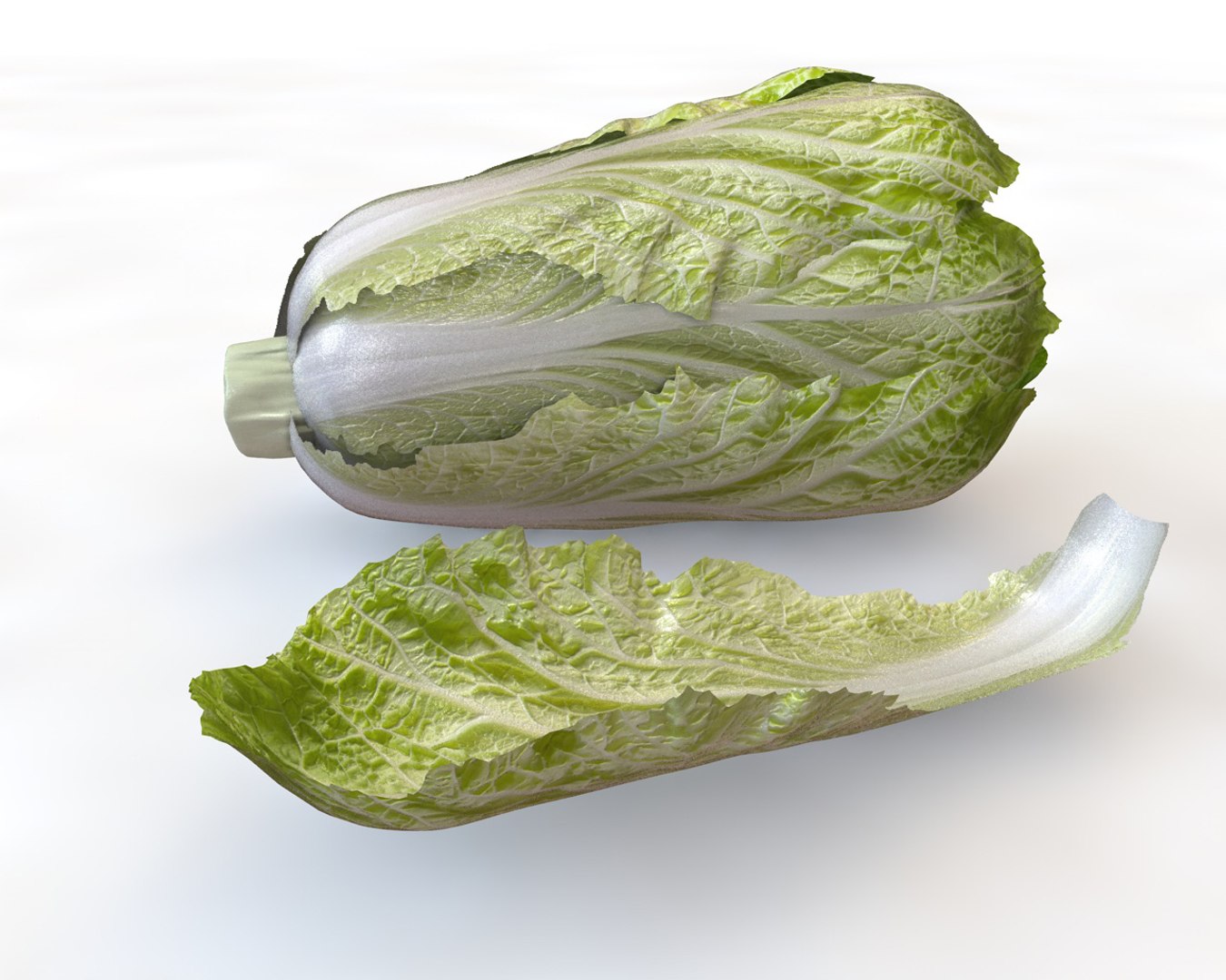 Cabbage Model - TurboSquid 1544537