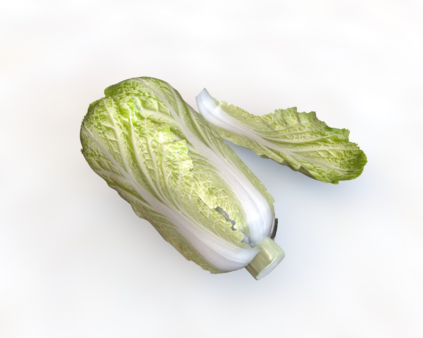 Cabbage Model - TurboSquid 1544537
