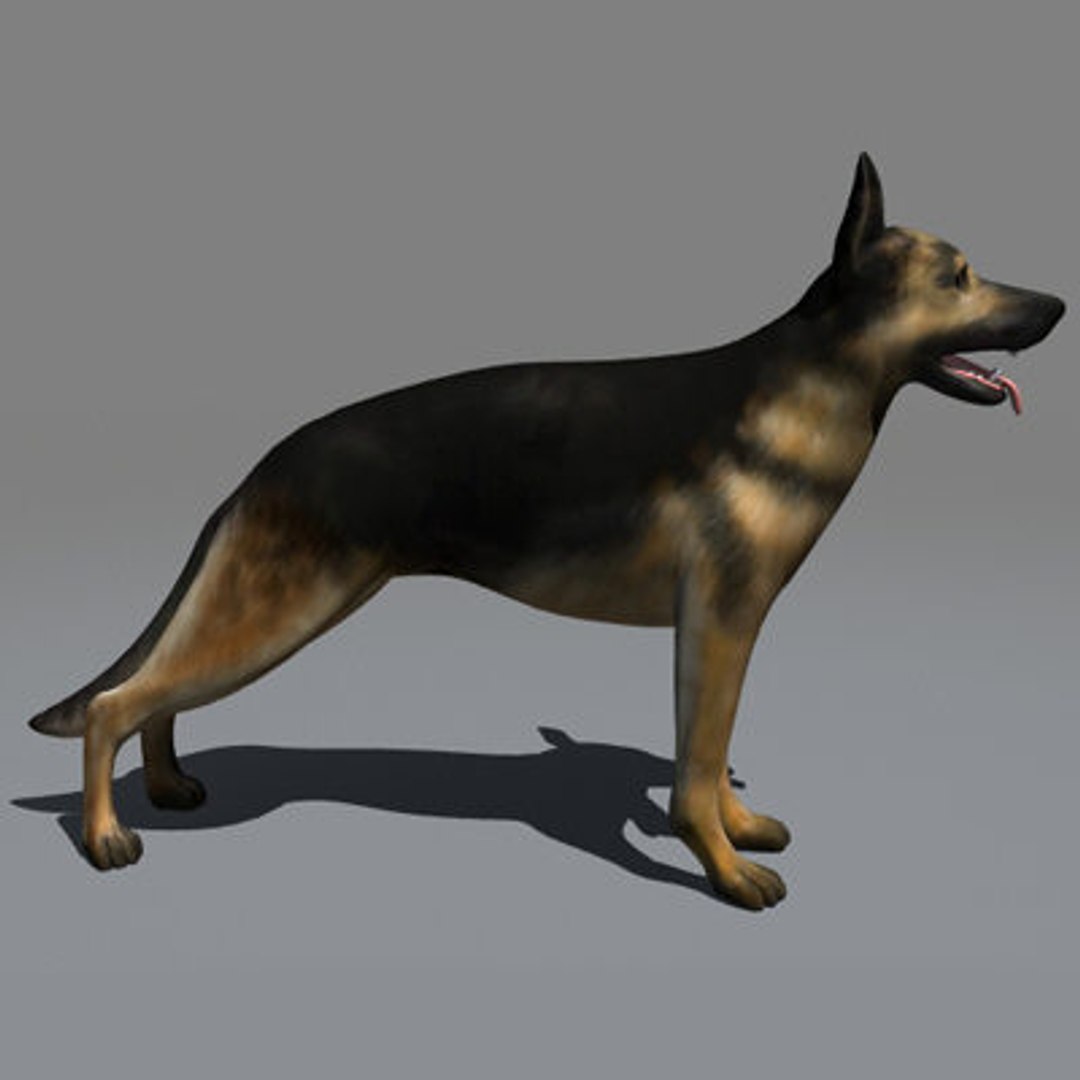 dog german shepherd 3d model