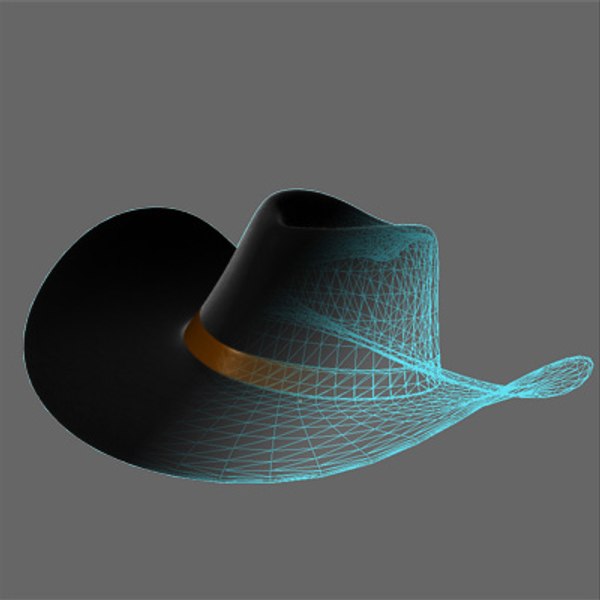 3d model of stetson cowboy hat
