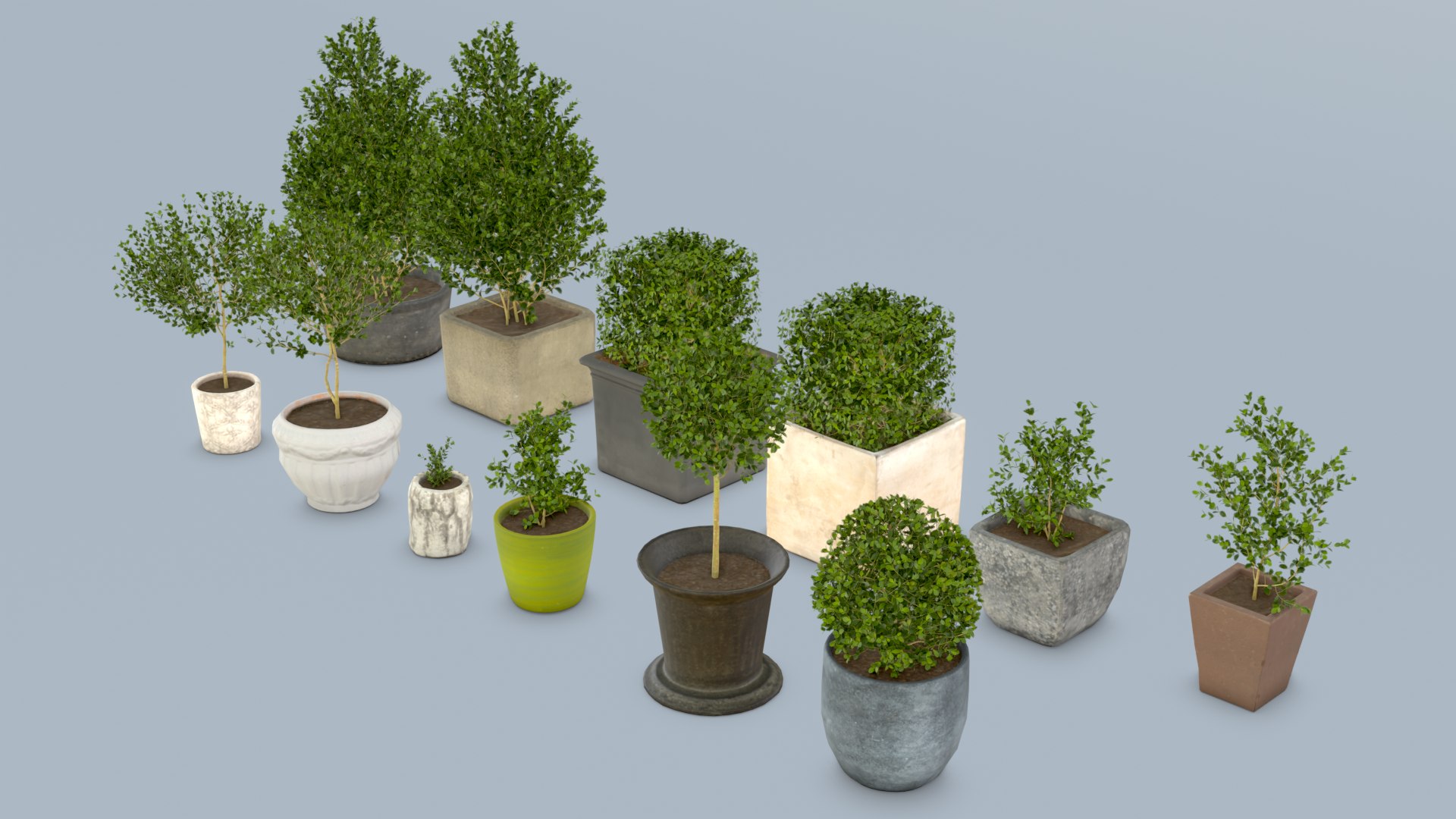 Trees In Pots Collection 10 Plants And 12 Flowerpots 3D Model ...