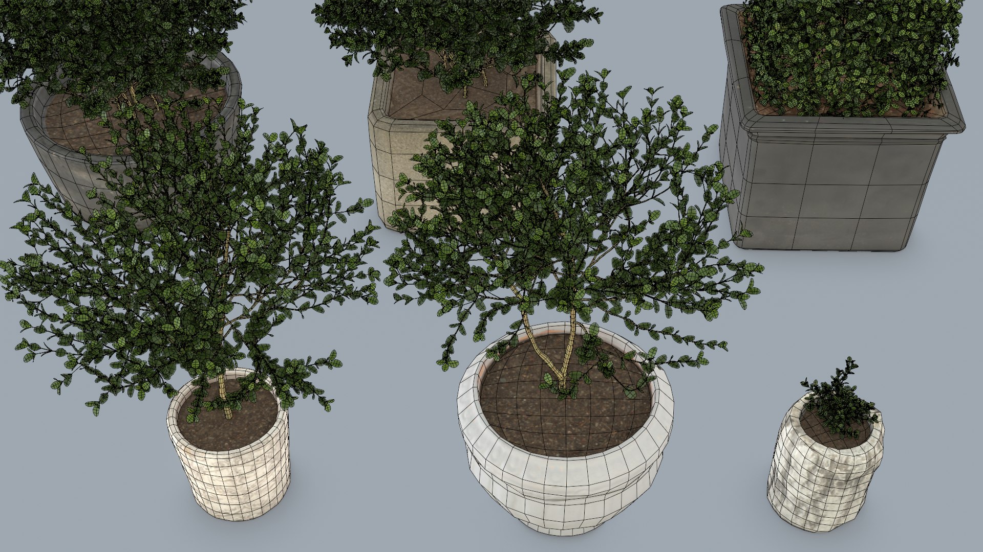 Trees In Pots Collection 10 Plants And 12 Flowerpots 3D Model ...