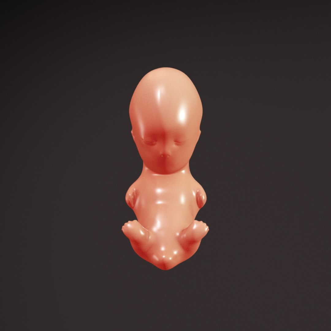 3d Fetus