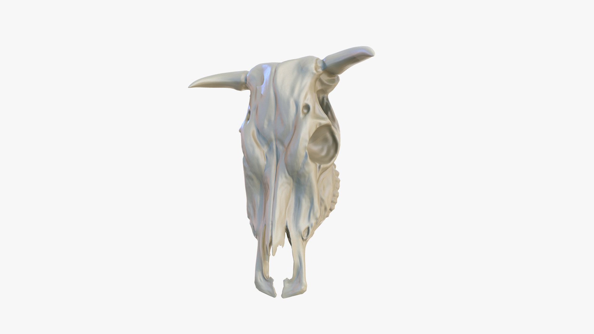 3D Cow Skull 3d Model - TurboSquid 2179818