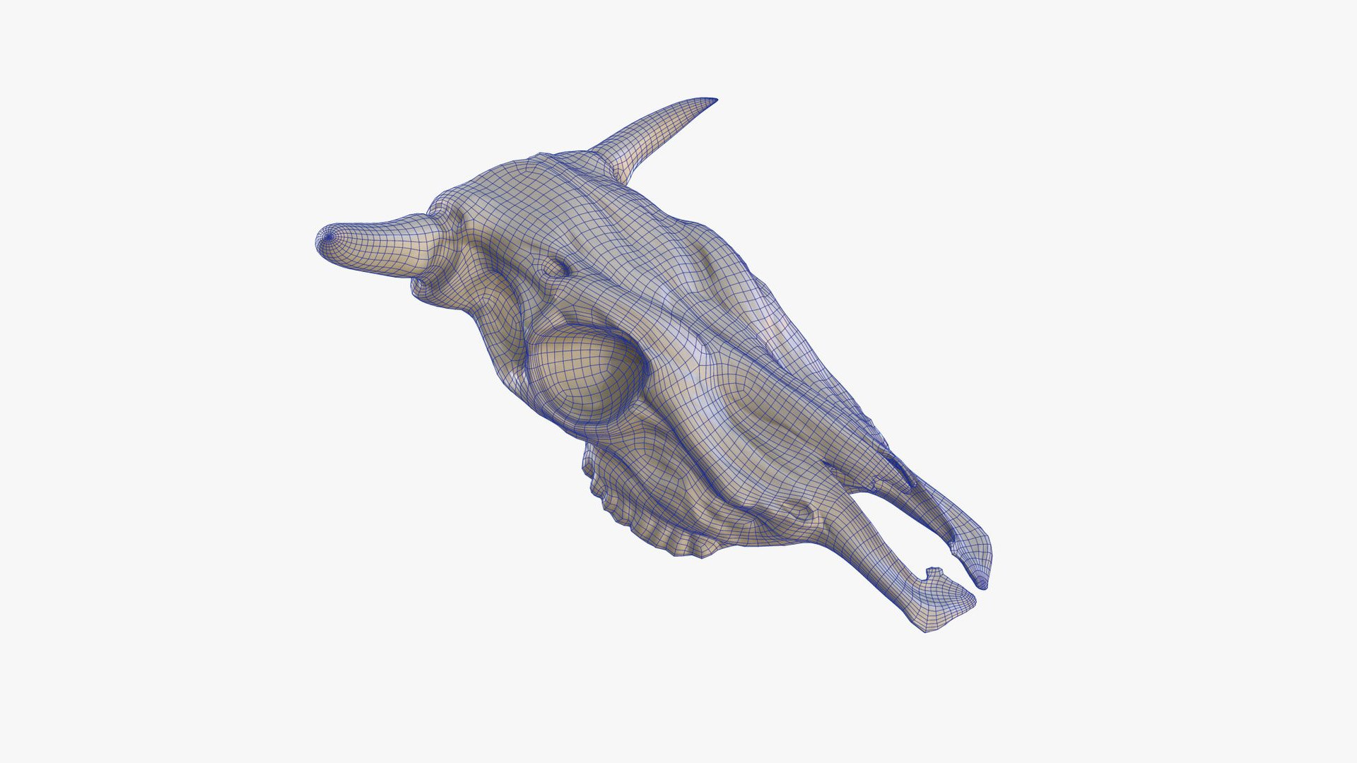 3D Cow Skull 3d Model - TurboSquid 2179818
