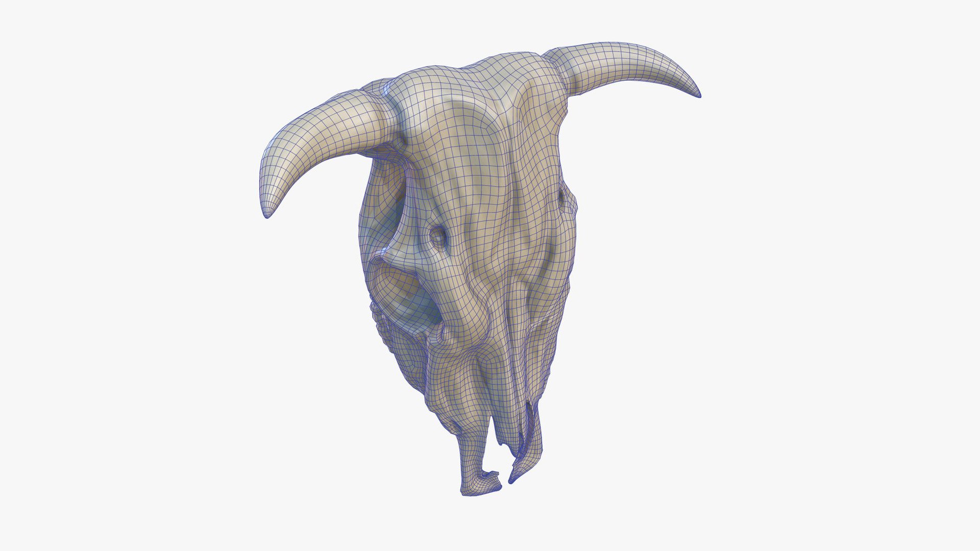 3D Cow Skull 3d Model - TurboSquid 2179818