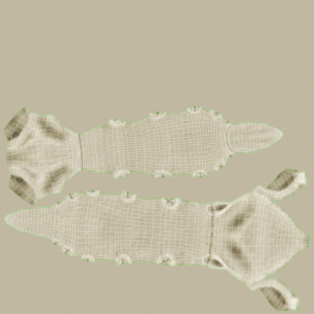 sternum bone 3d model