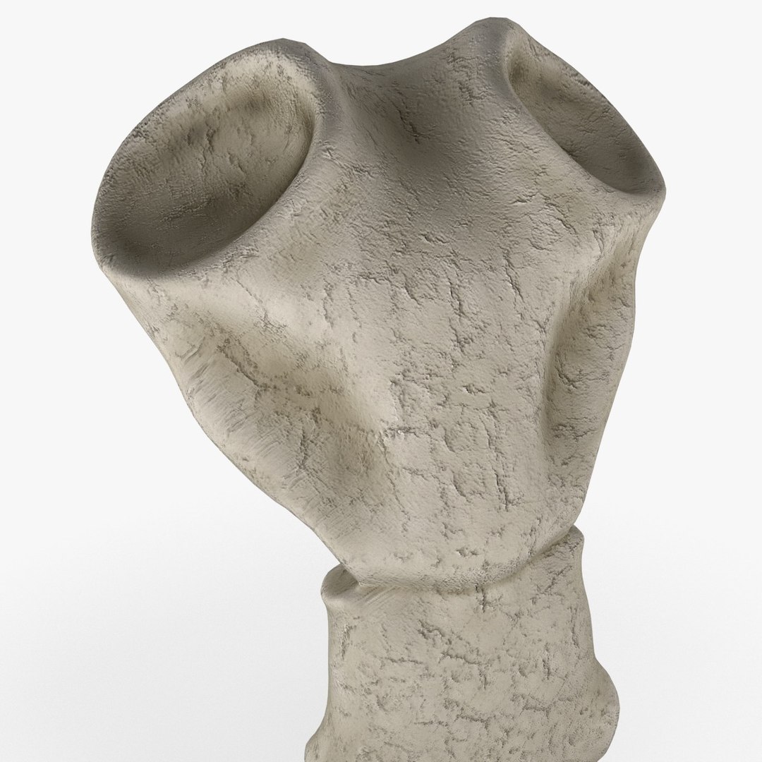Sternum Bone 3d Model