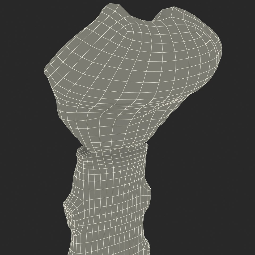 sternum bone 3d model