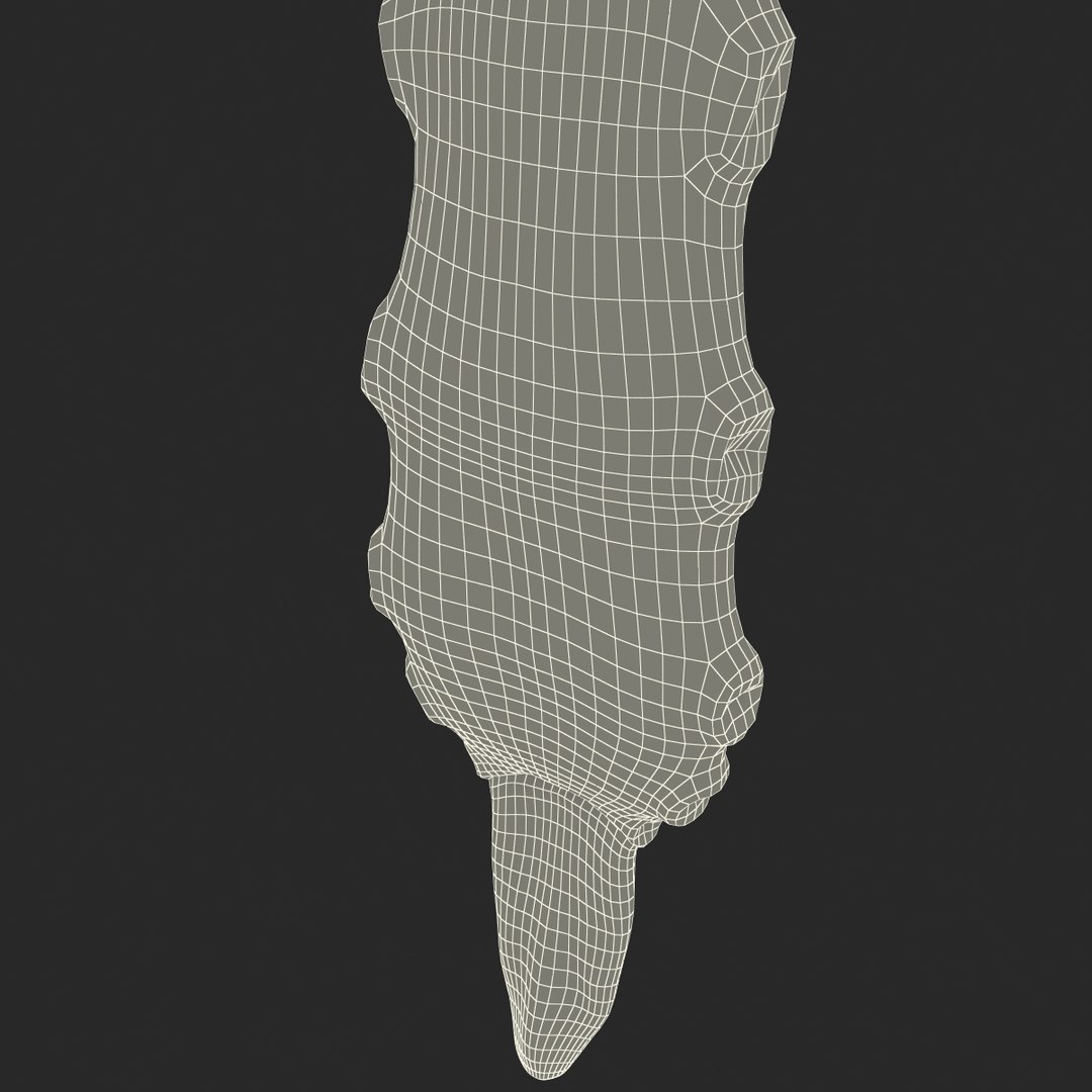 sternum bone 3d model