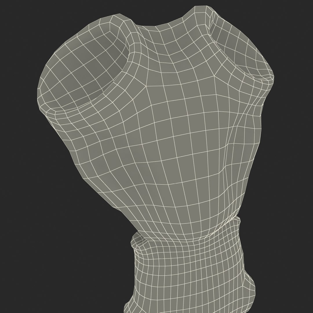 sternum bone 3d model