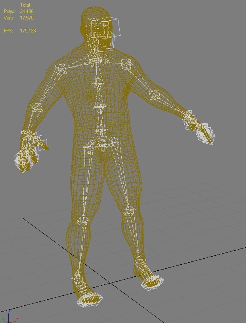 Max Rigged Male Character Man