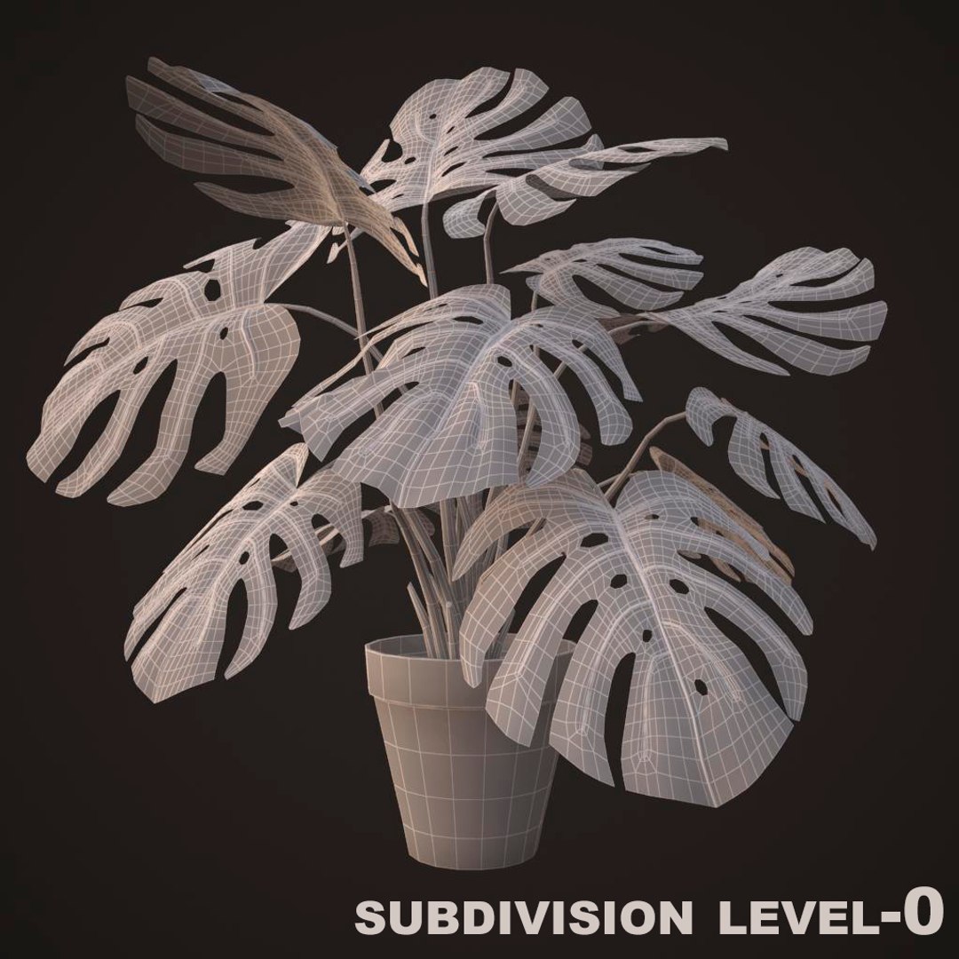 3d Monstera Plant Model