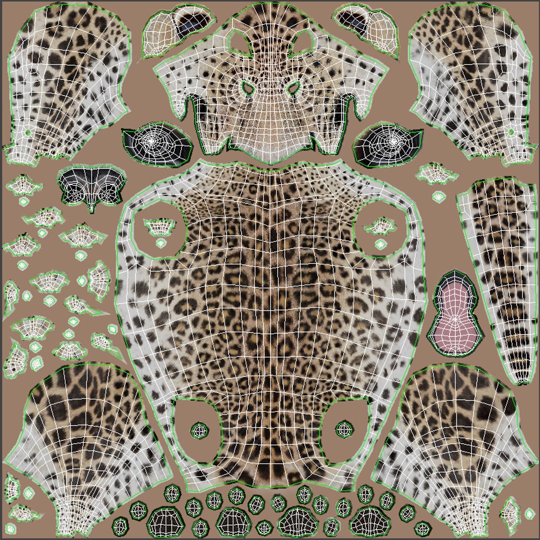 3D Model Animated Persian Leopard 3D Model With Fur - TurboSquid 2289734