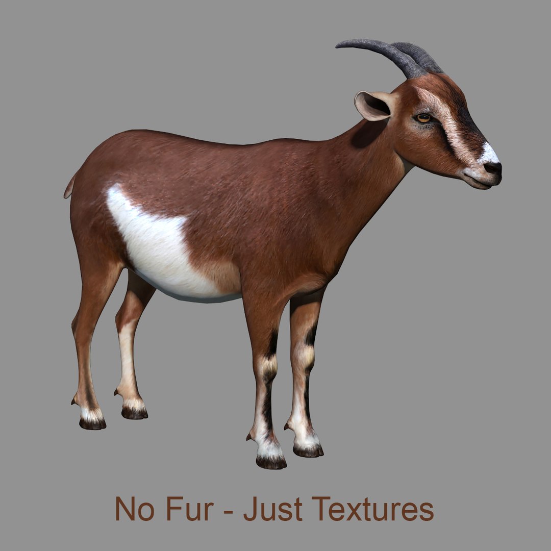 goat fur anim max