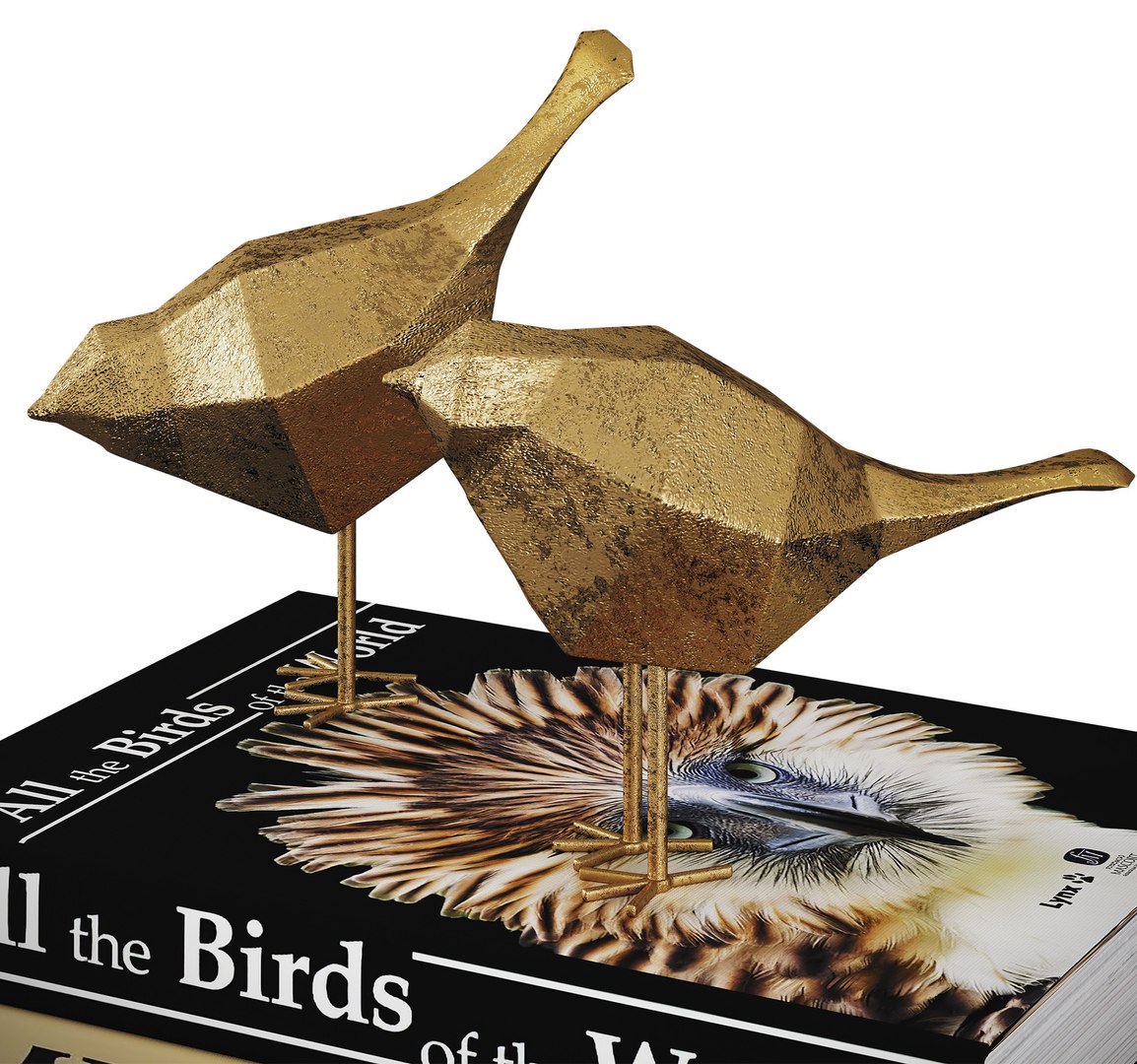 Birds Model - TurboSquid 2429832