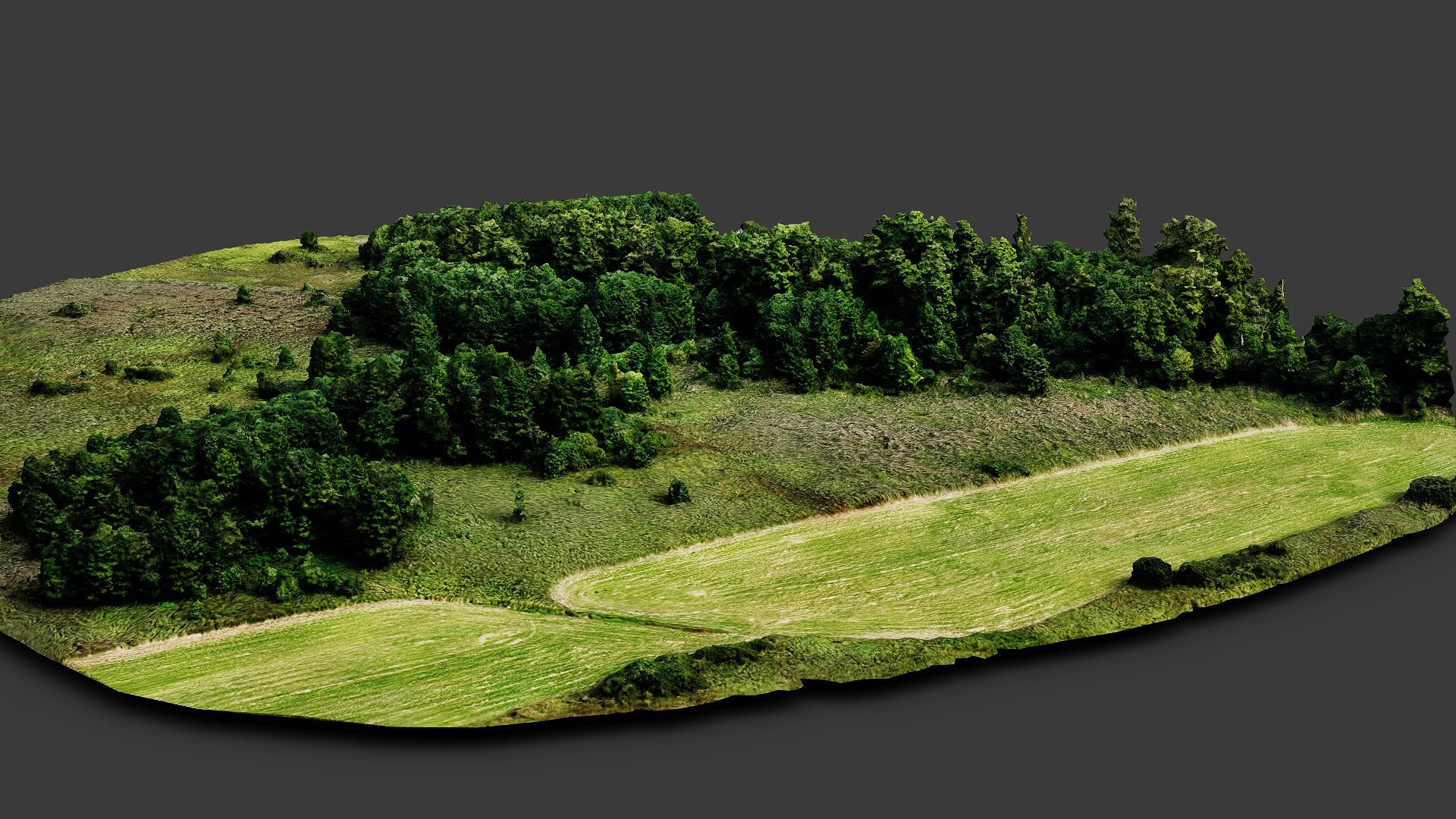 3D Trees Terrain Forest Fields Landscape Dronescan Part3 - TurboSquid ...