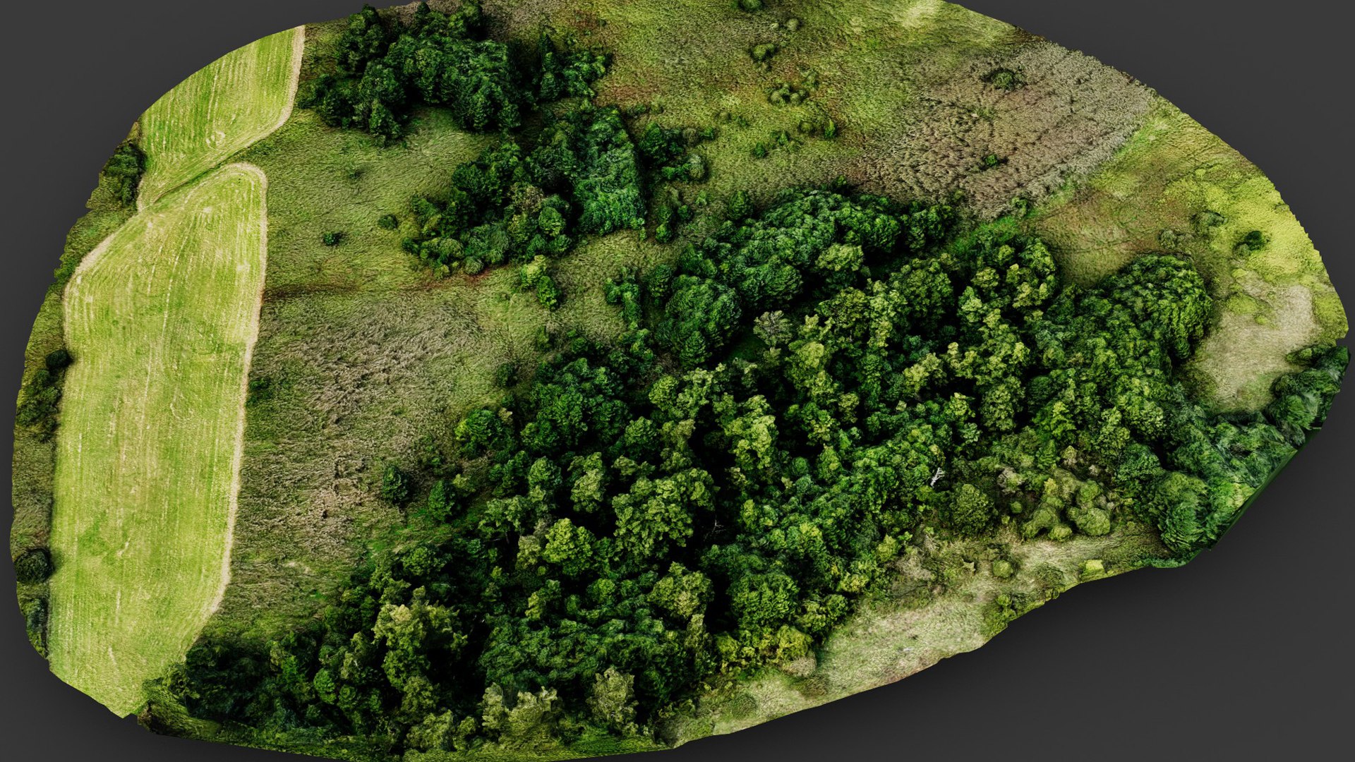 3D Trees Terrain Forest Fields Landscape Dronescan Part3 - TurboSquid ...