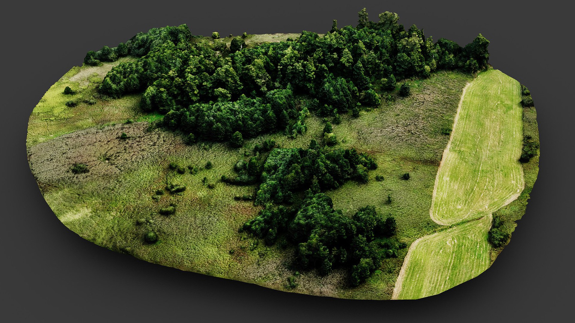 3D Trees Terrain Forest Fields Landscape Dronescan Part3 - TurboSquid ...