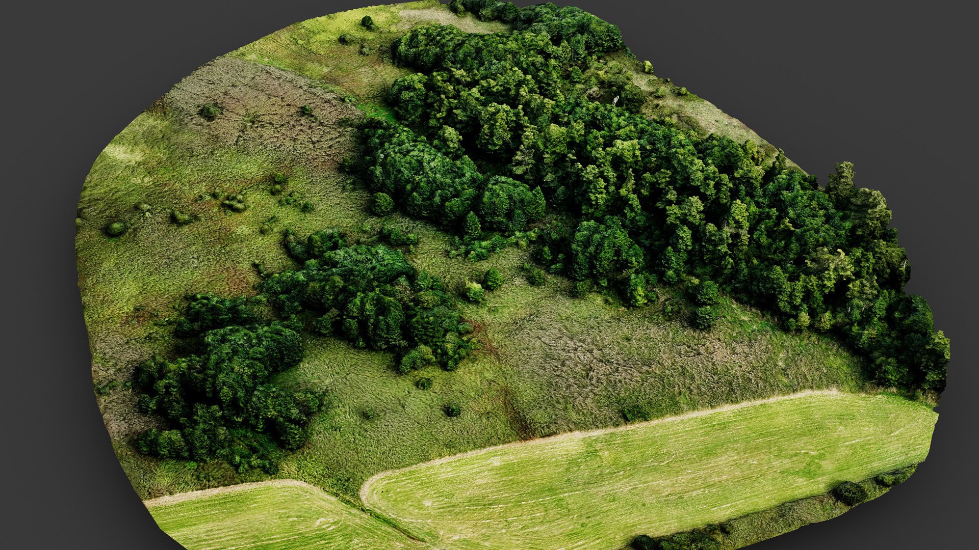 3D Trees Terrain Forest Fields Landscape Dronescan Part3 - TurboSquid ...