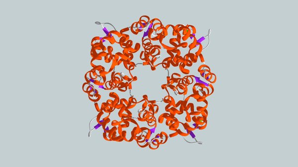 Protein 3D Models for Download | TurboSquid