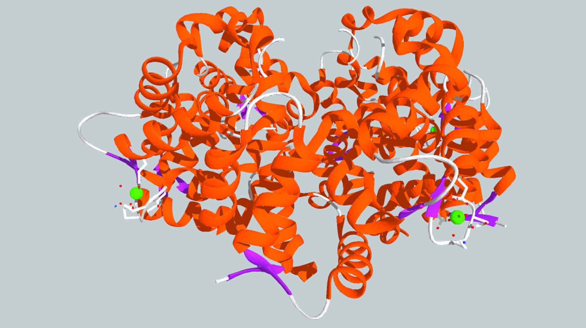 3d Model Calcium Sensor