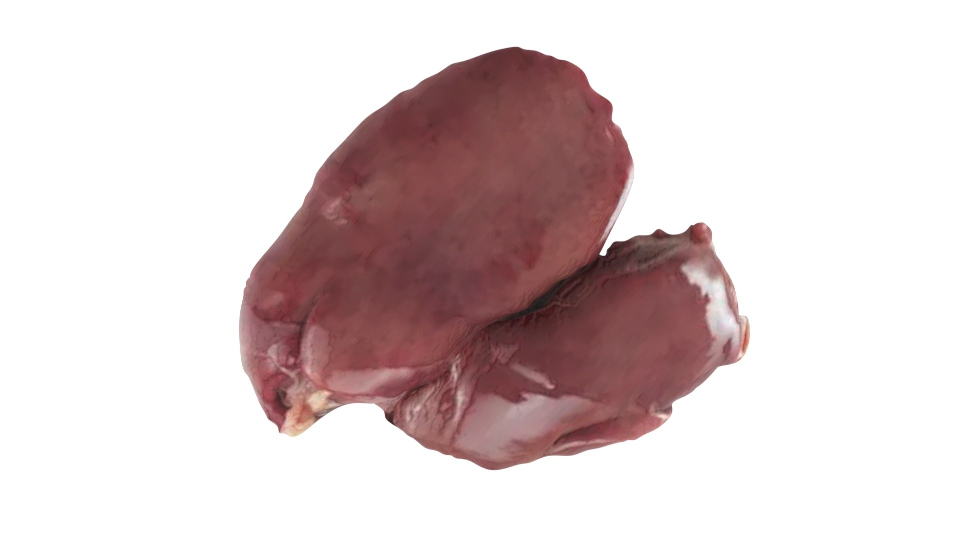 3D Chicken Liver Model - TurboSquid 2249006
