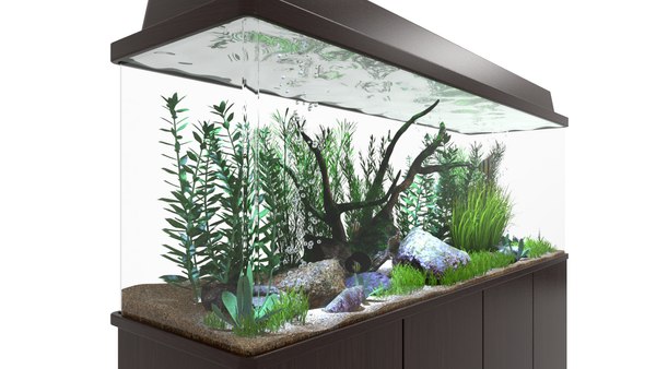3D Fish-Tank Models | TurboSquid