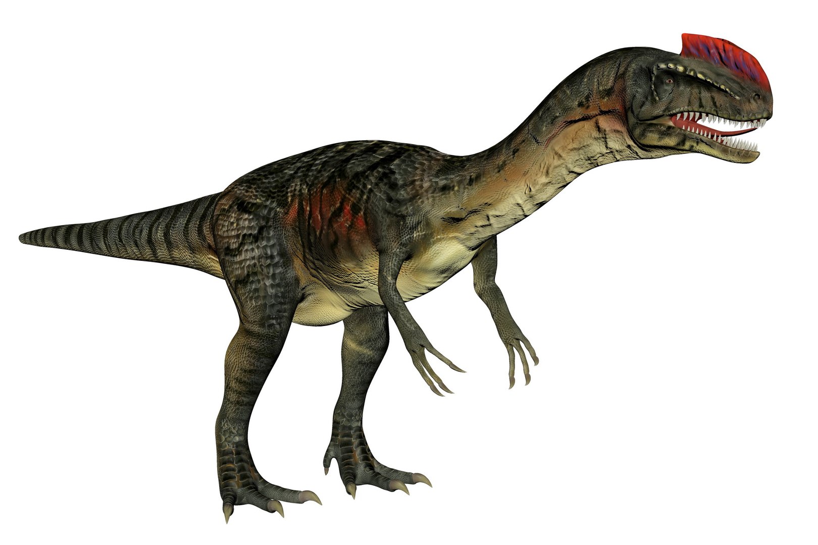 3D Zupaysaurus Dinosaur Triassic Animal - TurboSquid 2335984