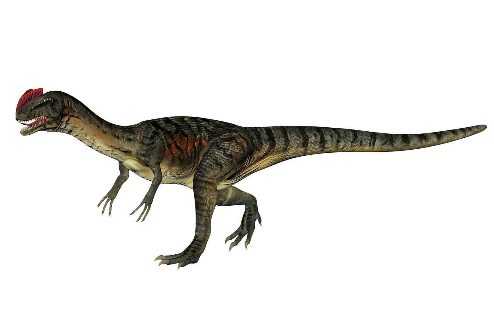 3D Zupaysaurus Dinosaur Triassic Animal - TurboSquid 2335984