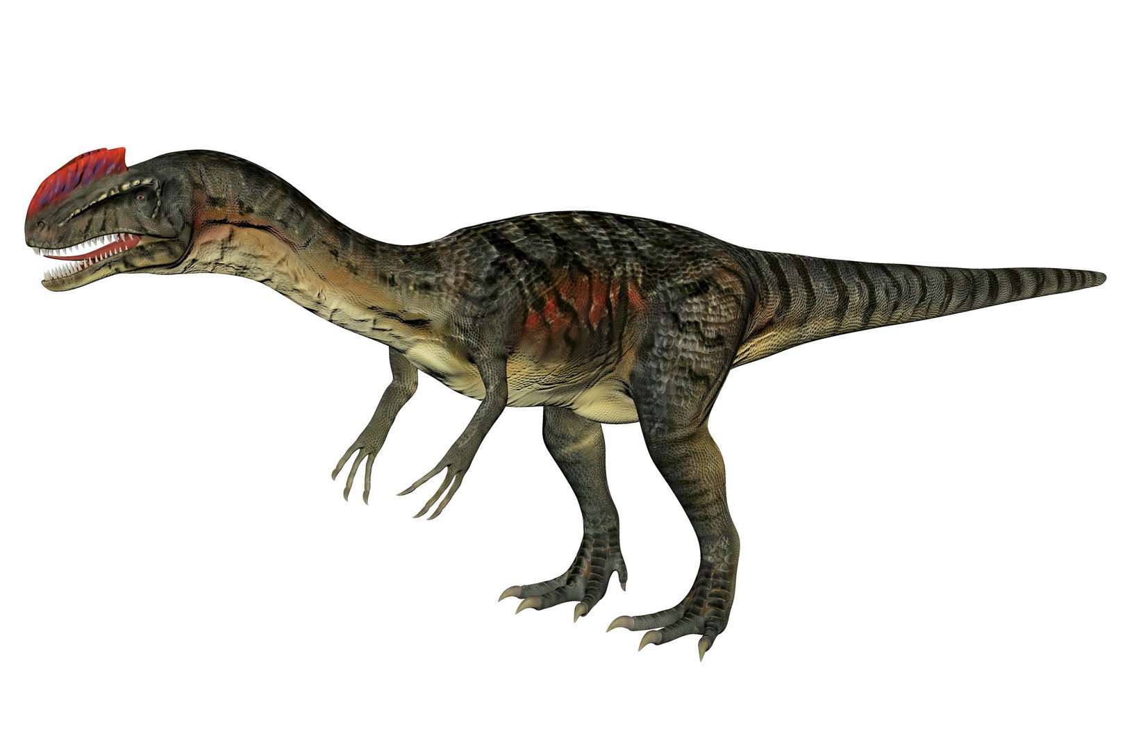 3D Zupaysaurus Dinosaur Triassic Animal - TurboSquid 2335984