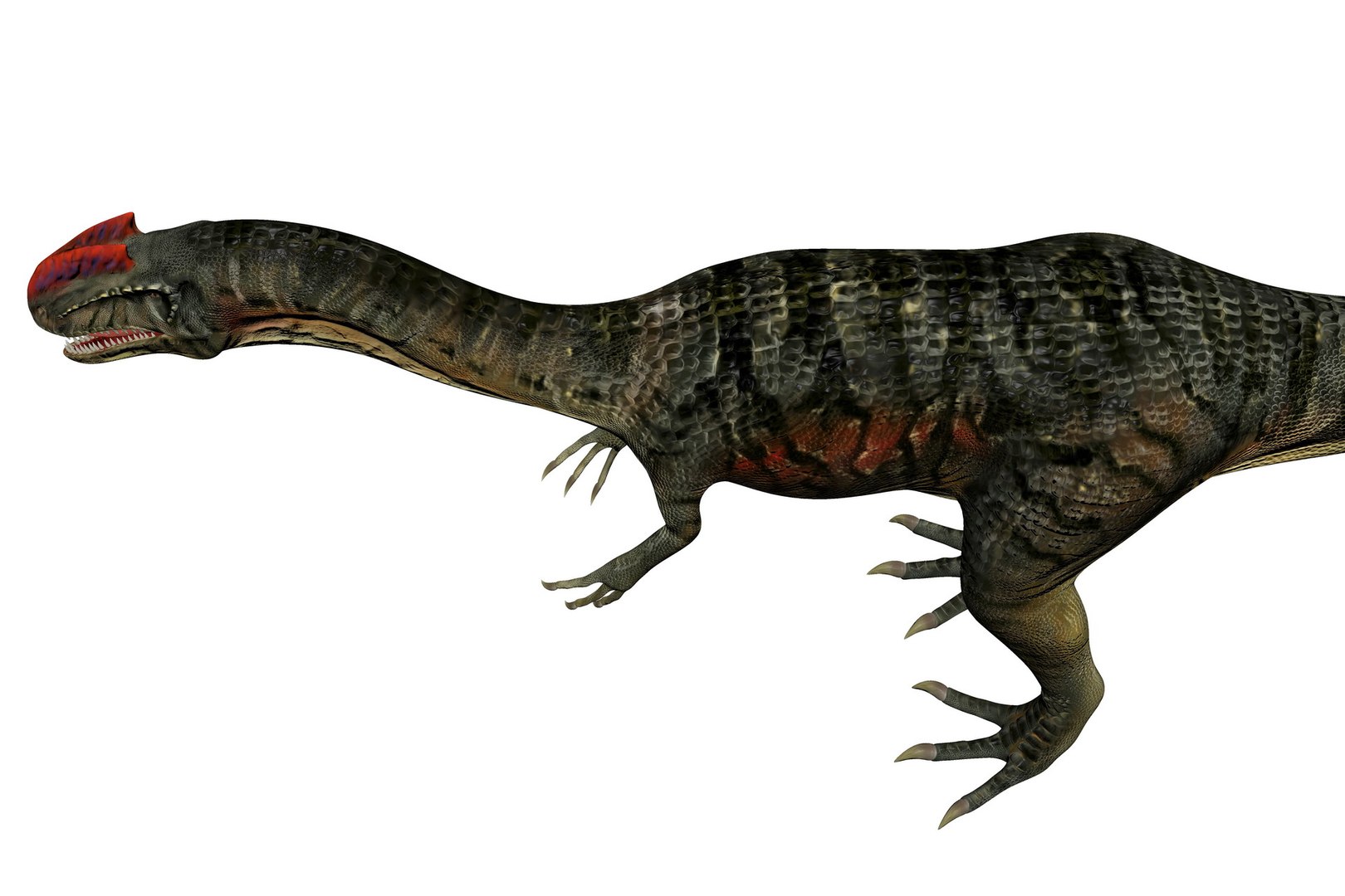 3D Zupaysaurus Dinosaur Triassic Animal - TurboSquid 2335984