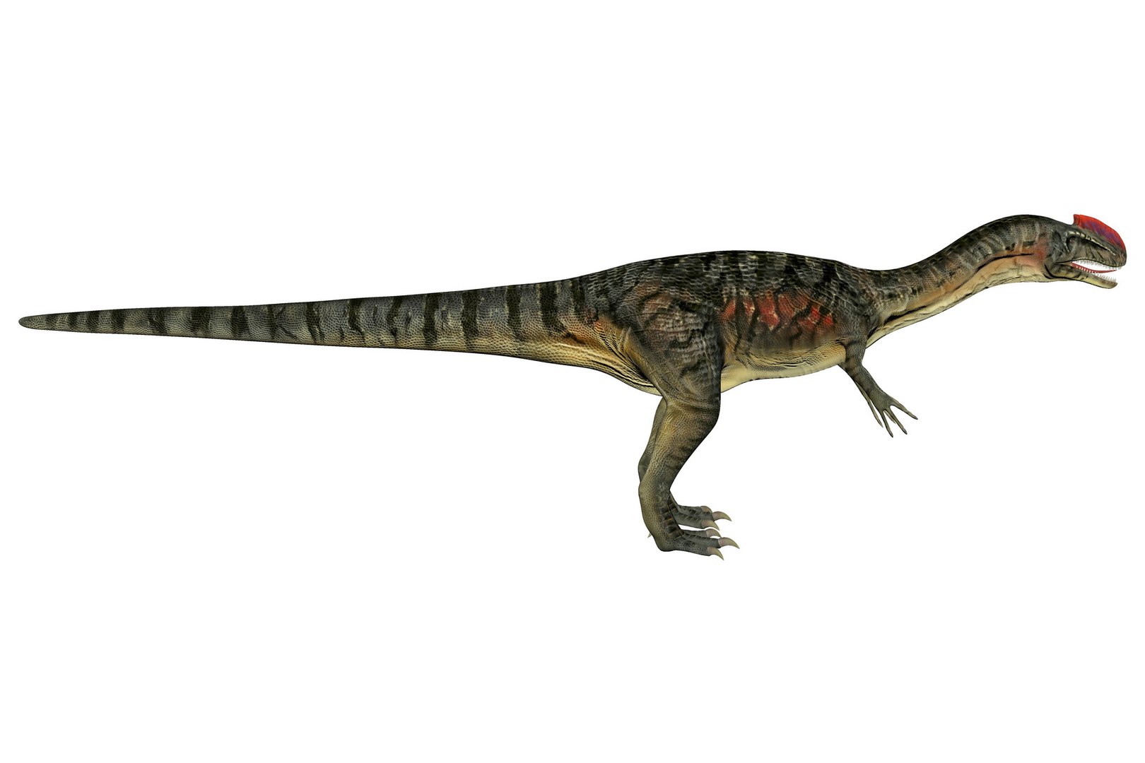 3D Zupaysaurus Dinosaur Triassic Animal - TurboSquid 2335984