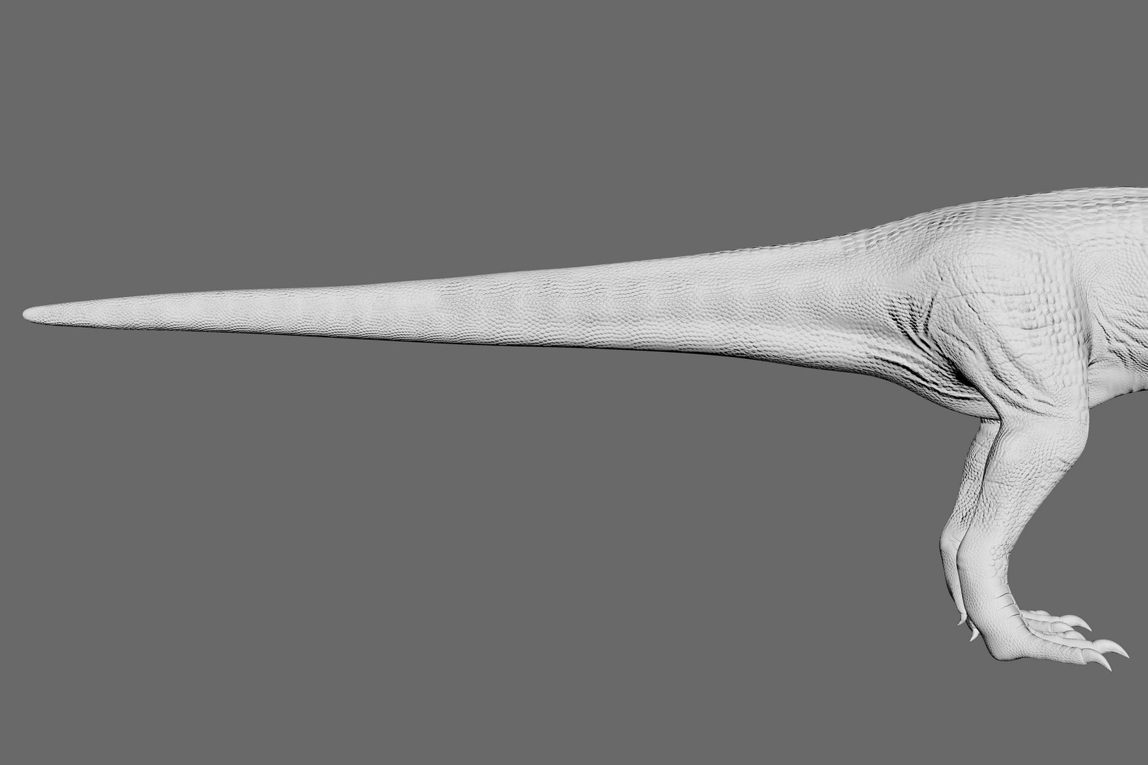 3D Zupaysaurus Dinosaur Triassic Animal - TurboSquid 2335984