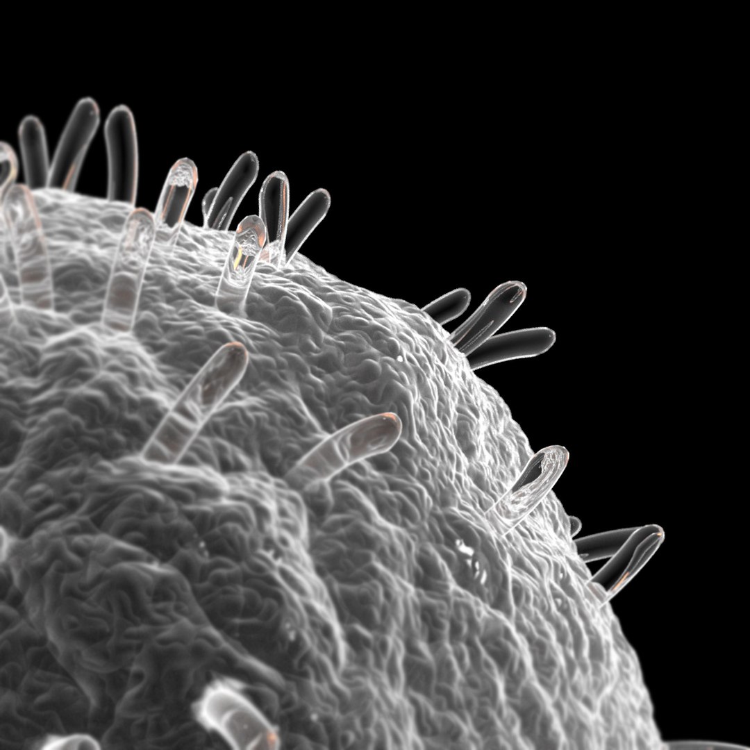 3D Microbes Bacteria Cells - TurboSquid 1626136