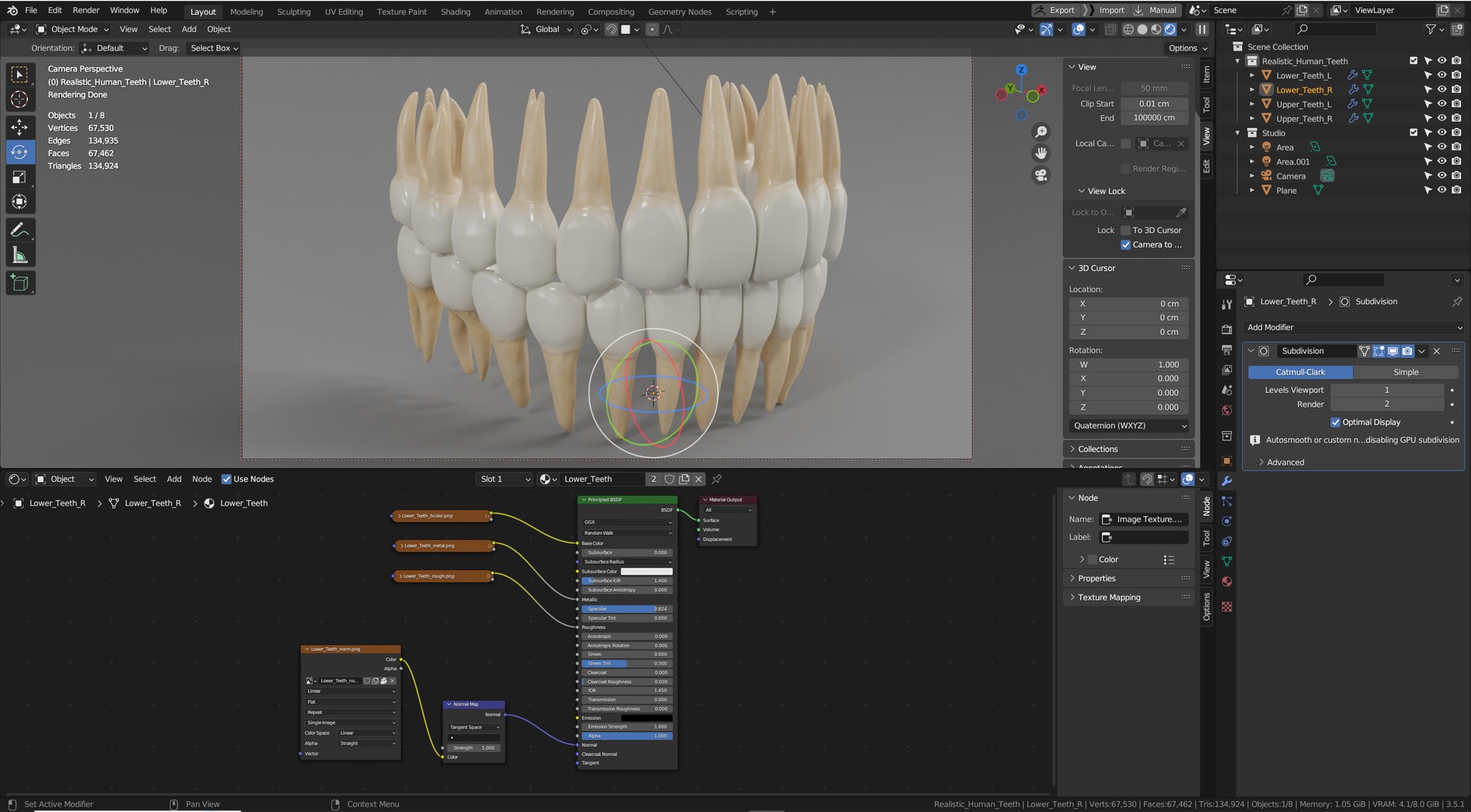 Realistic Human Teeth 3D model - TurboSquid 2169849
