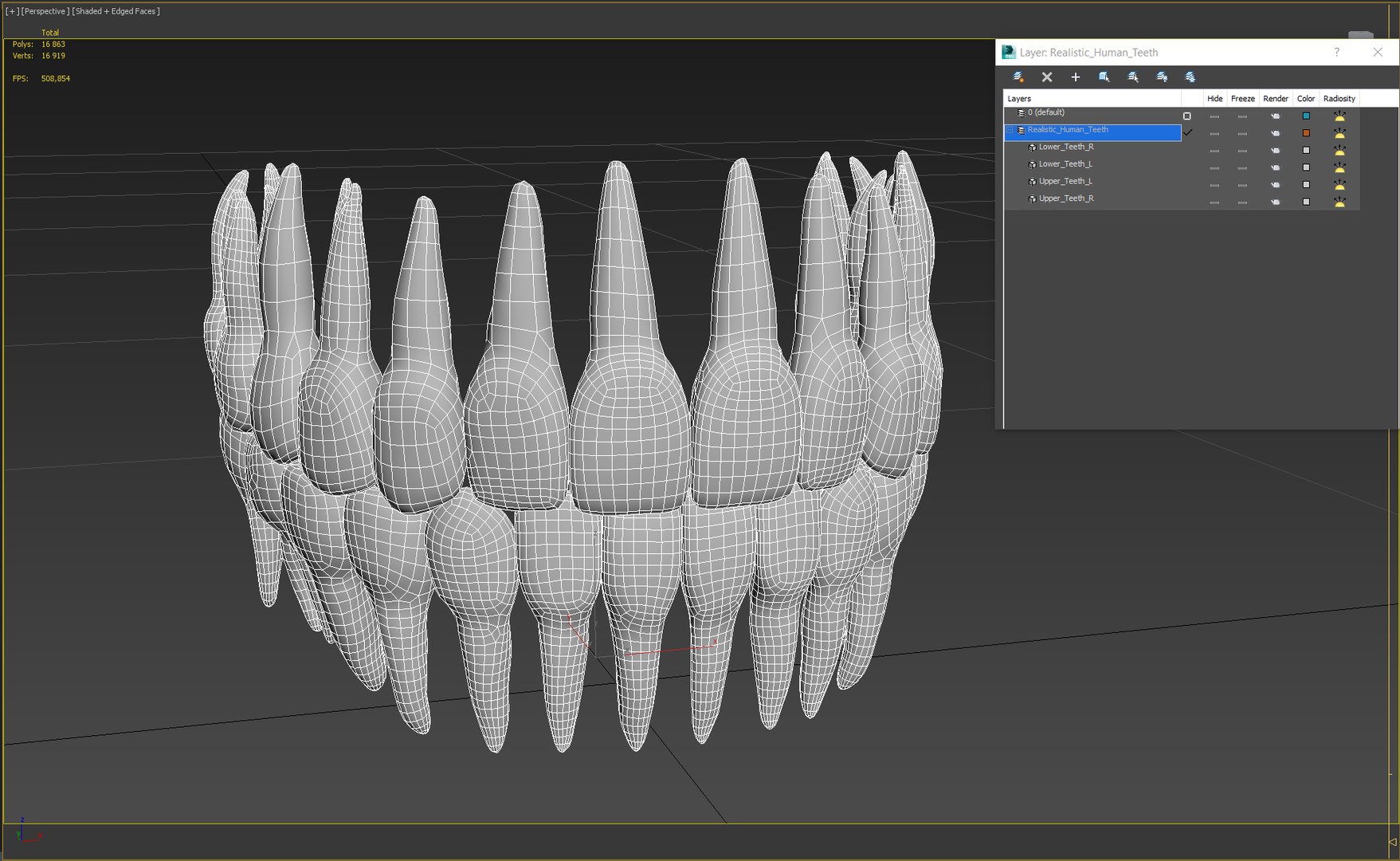 Realistic Human Teeth 3D model - TurboSquid 2169849