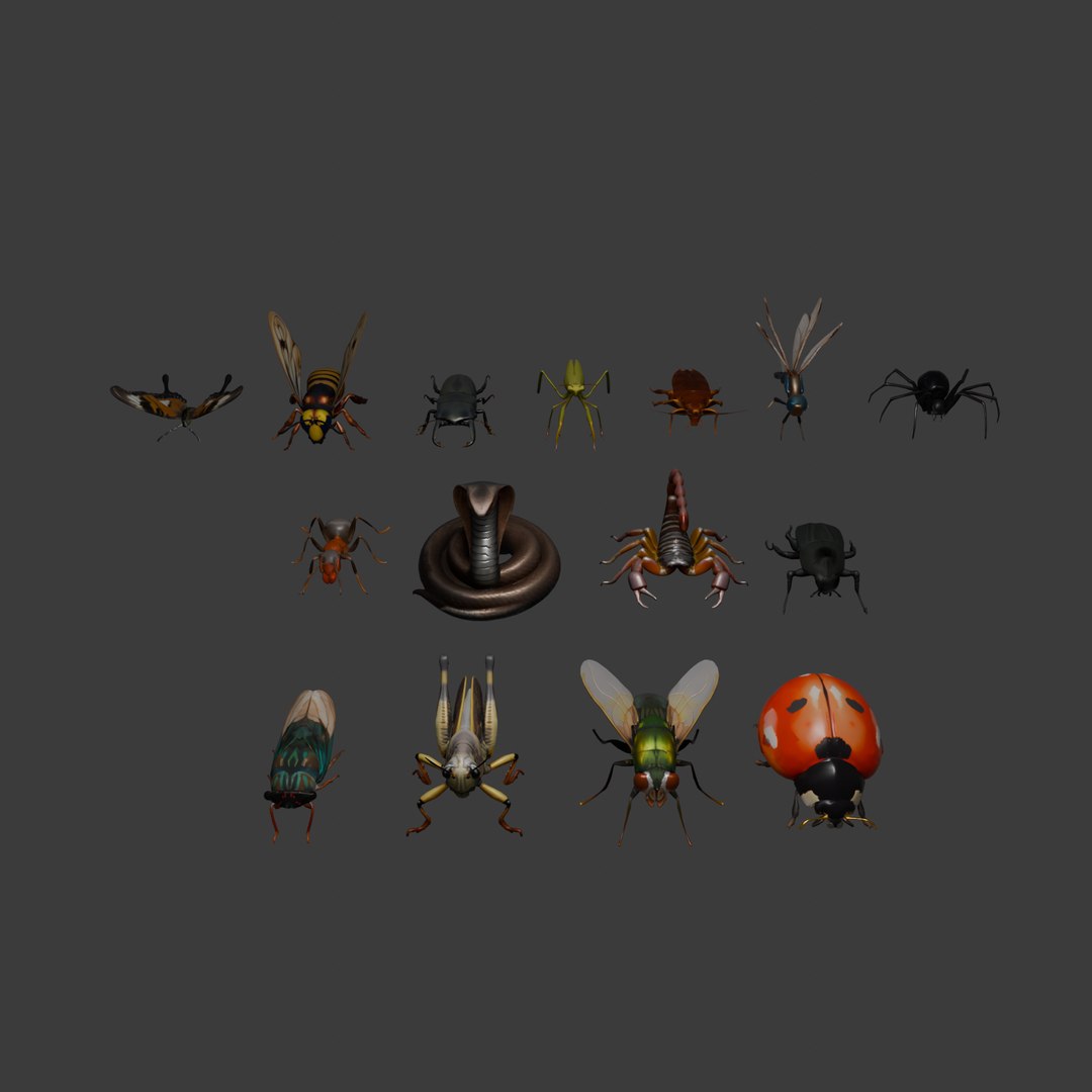 3D Low Poly Insect Set 15 Unique Models For Your Projects - TurboSquid ...