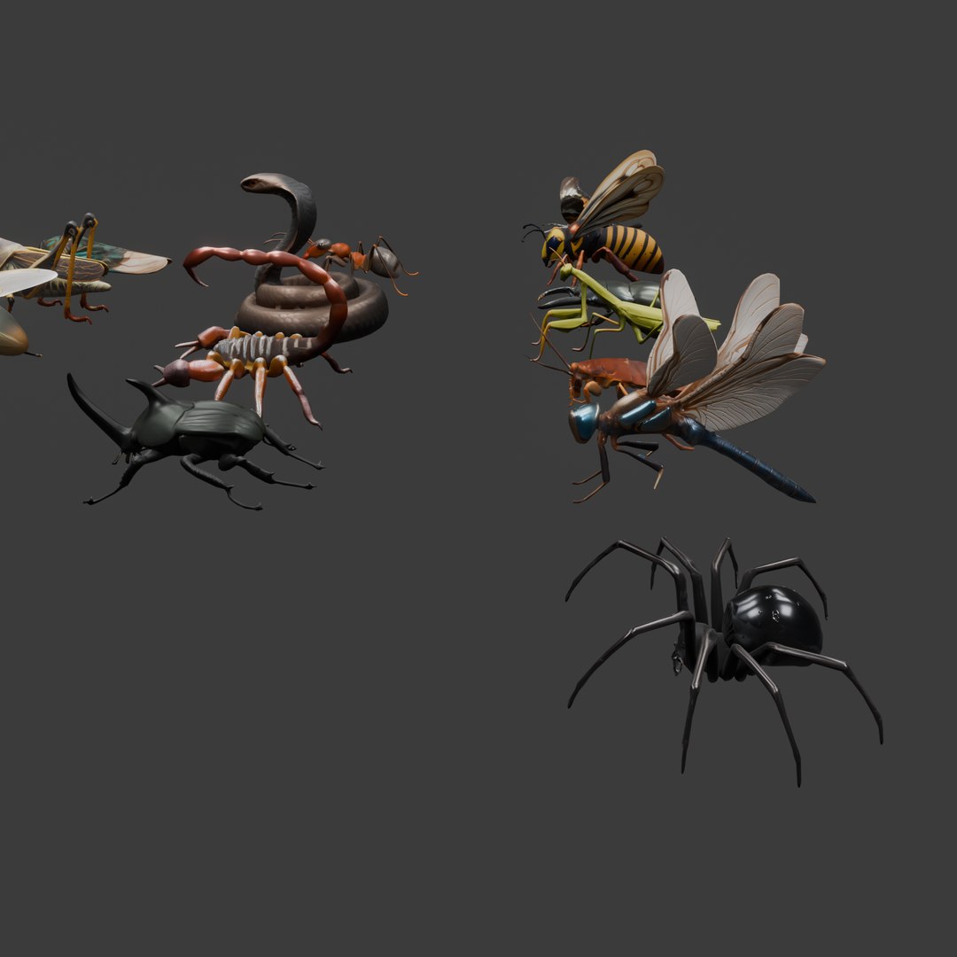 3D Low Poly Insect Set 15 Unique Models For Your Projects - TurboSquid ...
